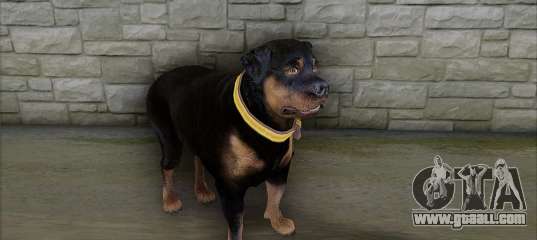 Rottweiler from GTA 5 for GTA San Andreas