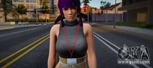 Zi Niao Office v4 for GTA San Andreas